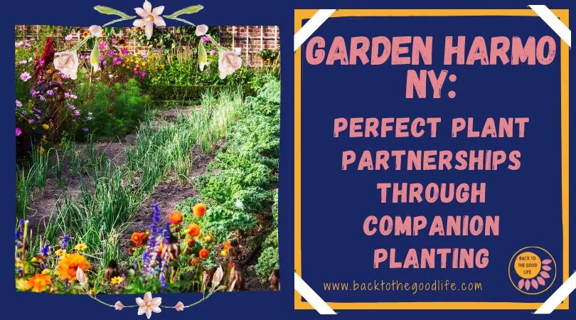 Garden Harmony: Perfect Plant Partnerships Through Companion Planting ...